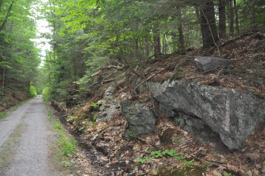Mason Rail Trail – Mason NH – Catching Marbles